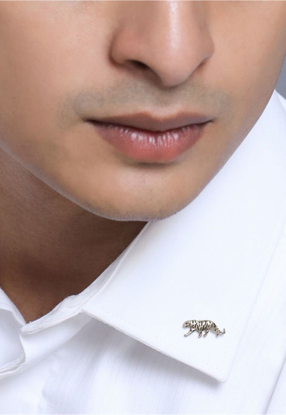 Buy The Calm Chetaah and Imperial Stag Metallic Collar Tips Gift Set ...