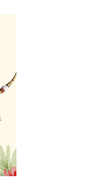 Teej '23 Collection | Best Festive Wear Online